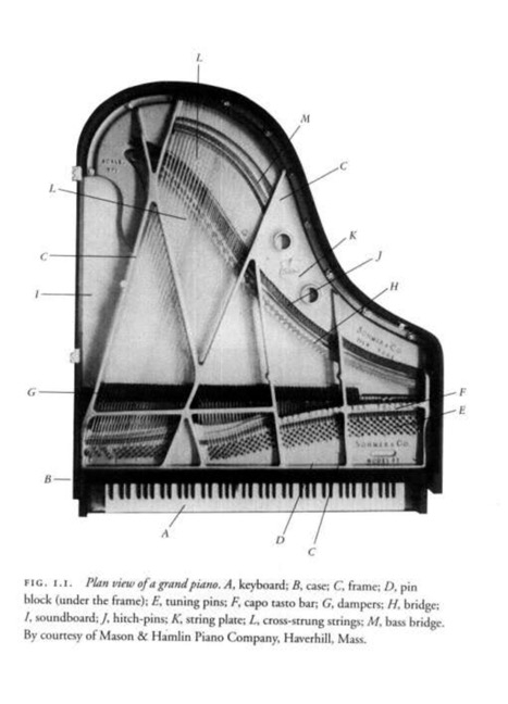 Grand Piano Shape